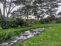 Distrito de Dolega Viajenda Panamá